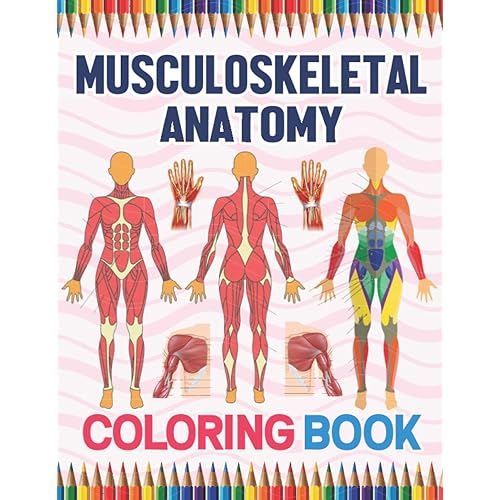 Snapklik.com : Musculoskeletal Anatomy Coloring Book: Human Body And ...