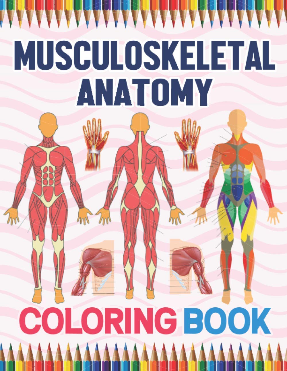 Snapklik.com : Musculoskeletal Anatomy Coloring Book: Human Body And ...