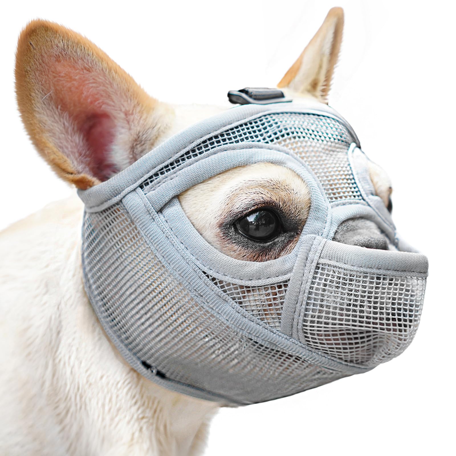 Snapklik.com : Mayerzon Short Snout Dog Muzzle For French Bulldog