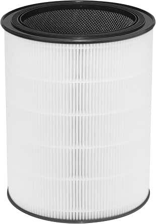 Amazon.com: BreshAir F179A True HEPA Replacement Filter Compatible with ...
