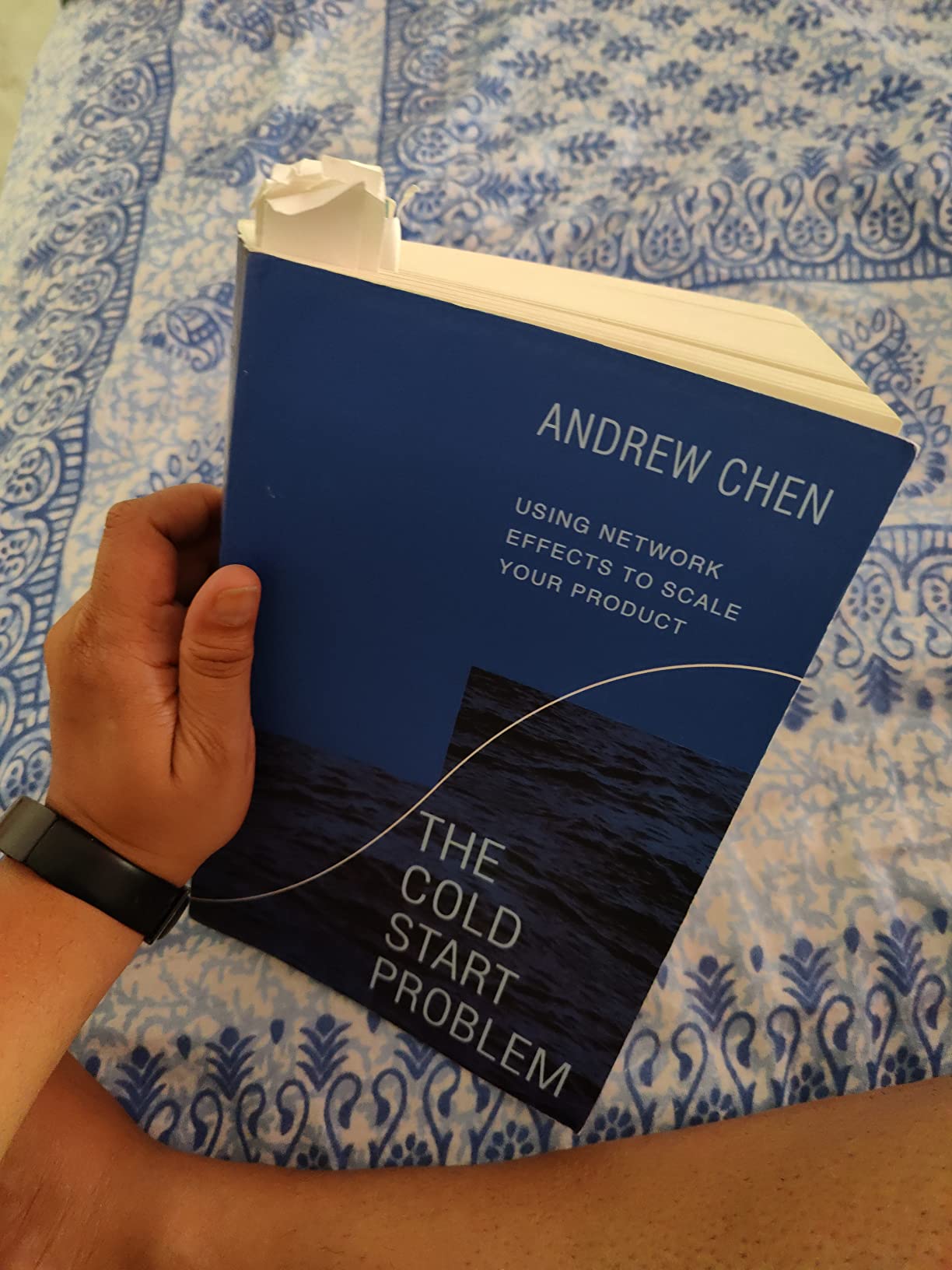 The Cold Start Problem: How to Start and Scale Network Effects : Chen ...