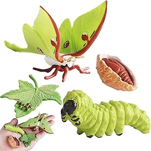 Life Cycle Kit Toy Montessori - Kids Figure Animal Match Set ...