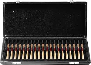 Amazon.com: joyibay Woodwinds Instrument Reed Vitalizer Case, Great ...
