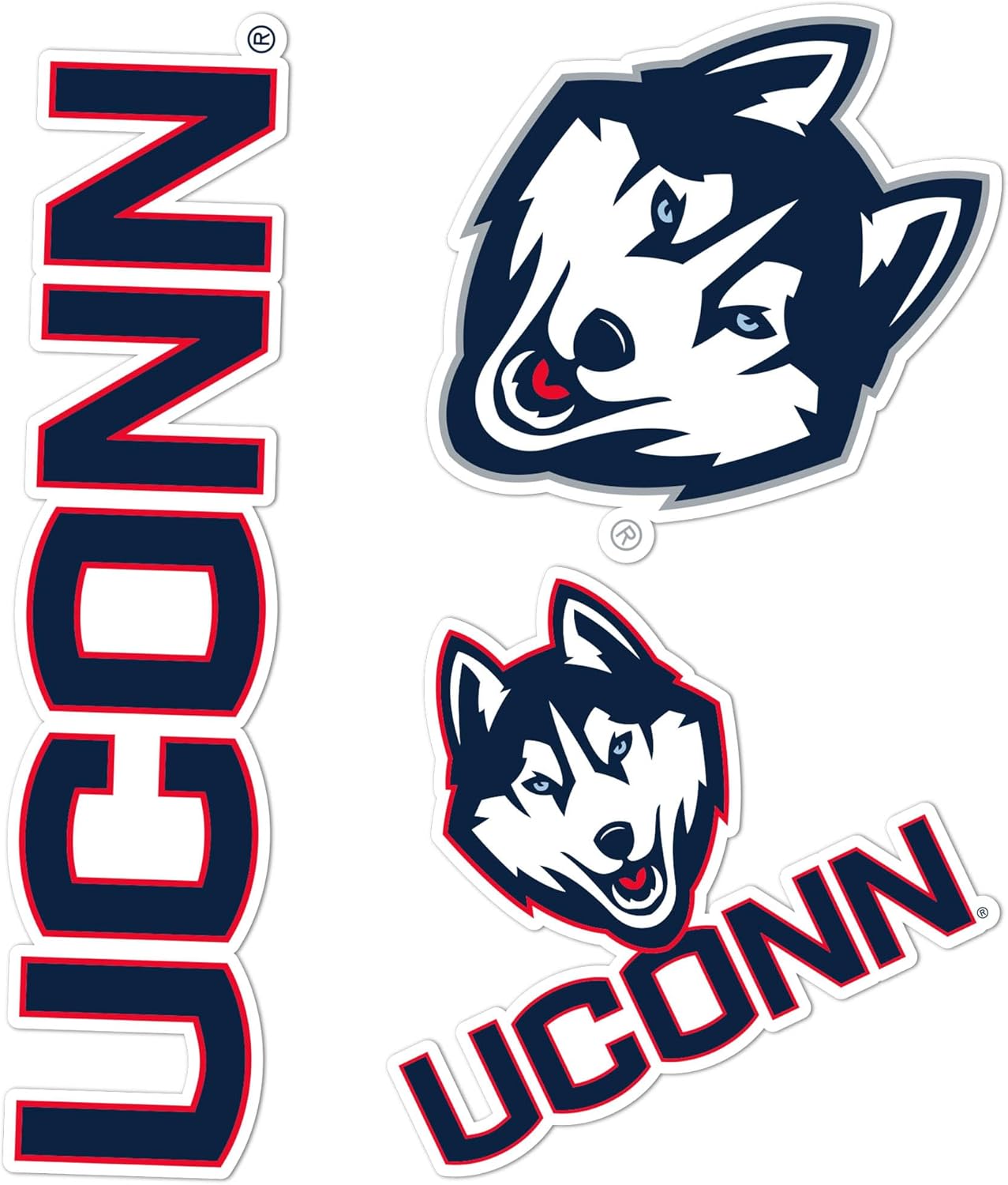 Amazon.com: Desert Cactus UConn University of Connecticut Sticker ...
