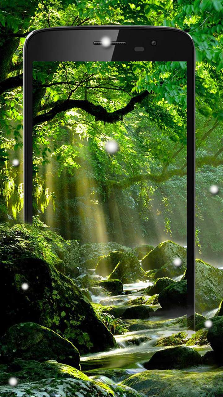Sunny Forest 2D Live wallpaper - App on Amazon Appstore