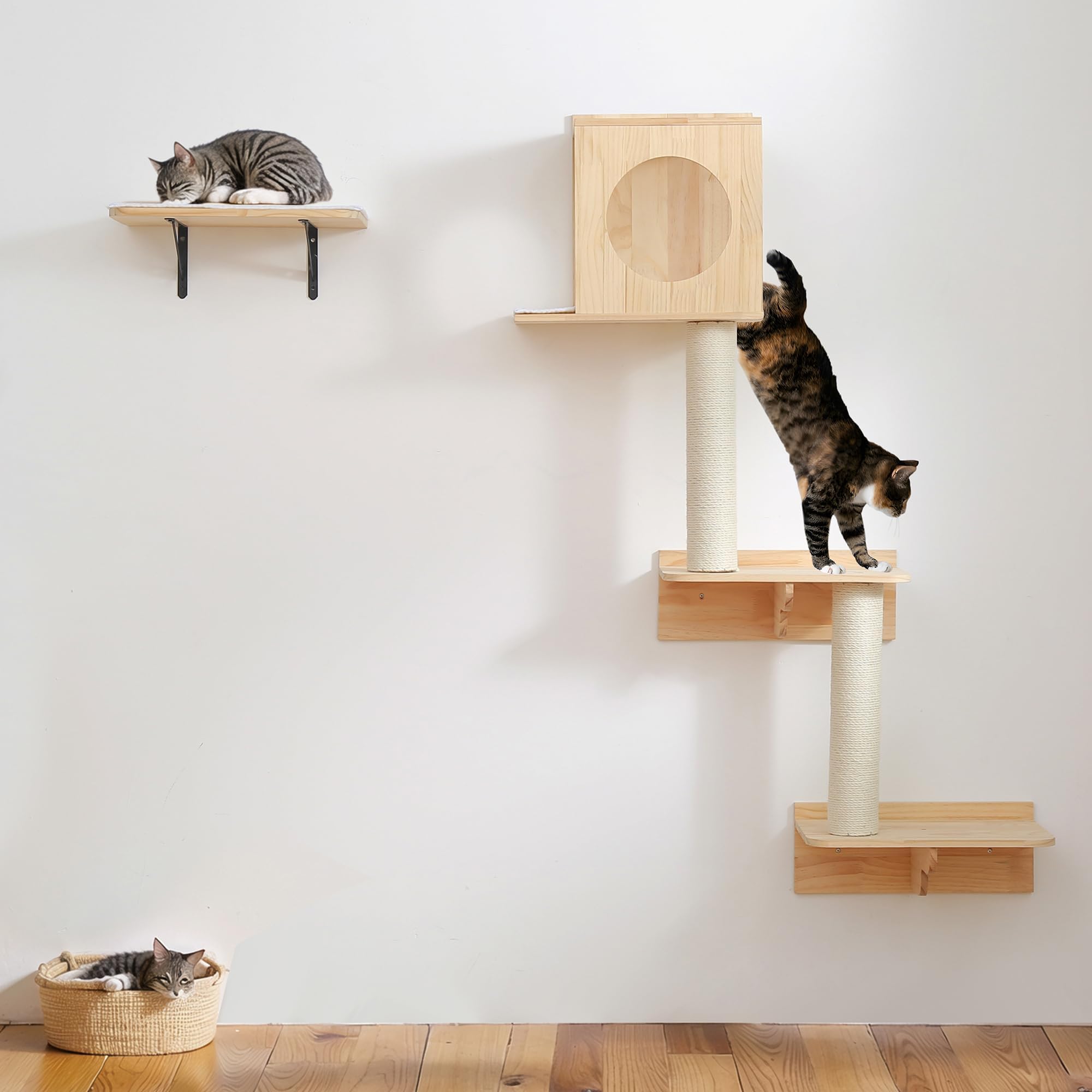 Amazon.com : Wall Cat Tree, Cat Tree Wall Mounted, Cats Climbing Tower ...