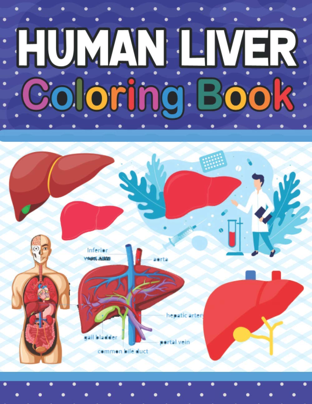 Human Liver Coloring Book: Human Liver Anatomy Student's Self-test ...
