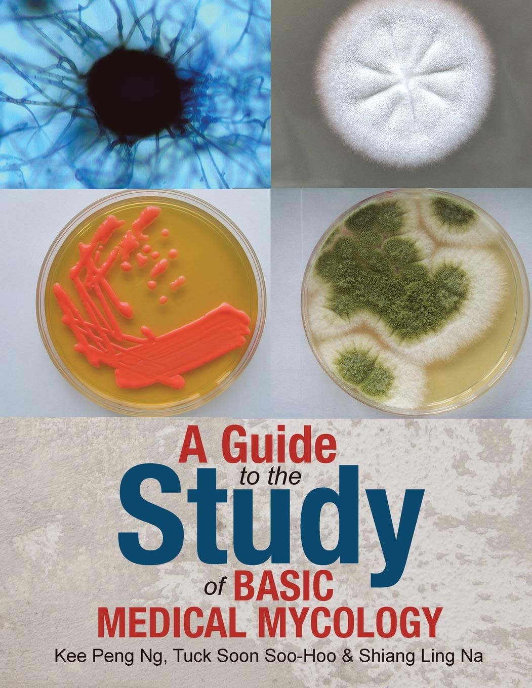 A Guide to the Study of Basic Medical Mycology: Ng, Kee Peng, Soo-Hoo ...