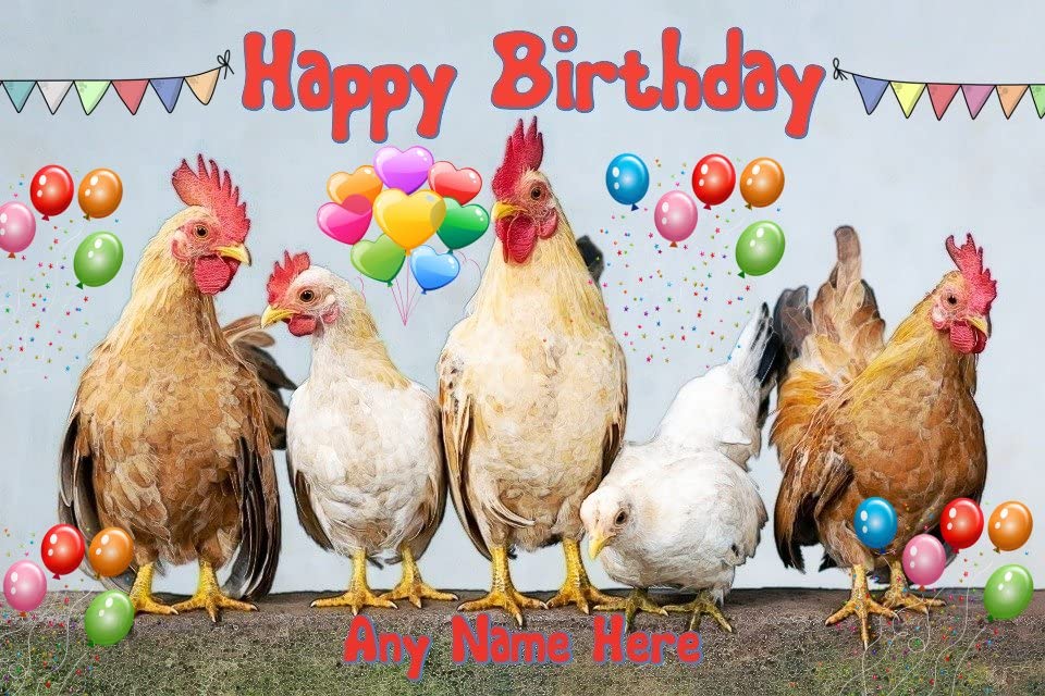 Personalised Happy Birthday Chicken Cards A5 : Amazon.co.uk: Handmade ...