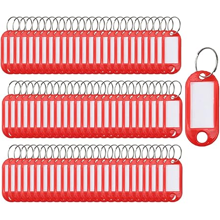 Key Tags SENRISE 100 Pieces Keyring Tags Key Labels Plastic Key Fobs Id ...
