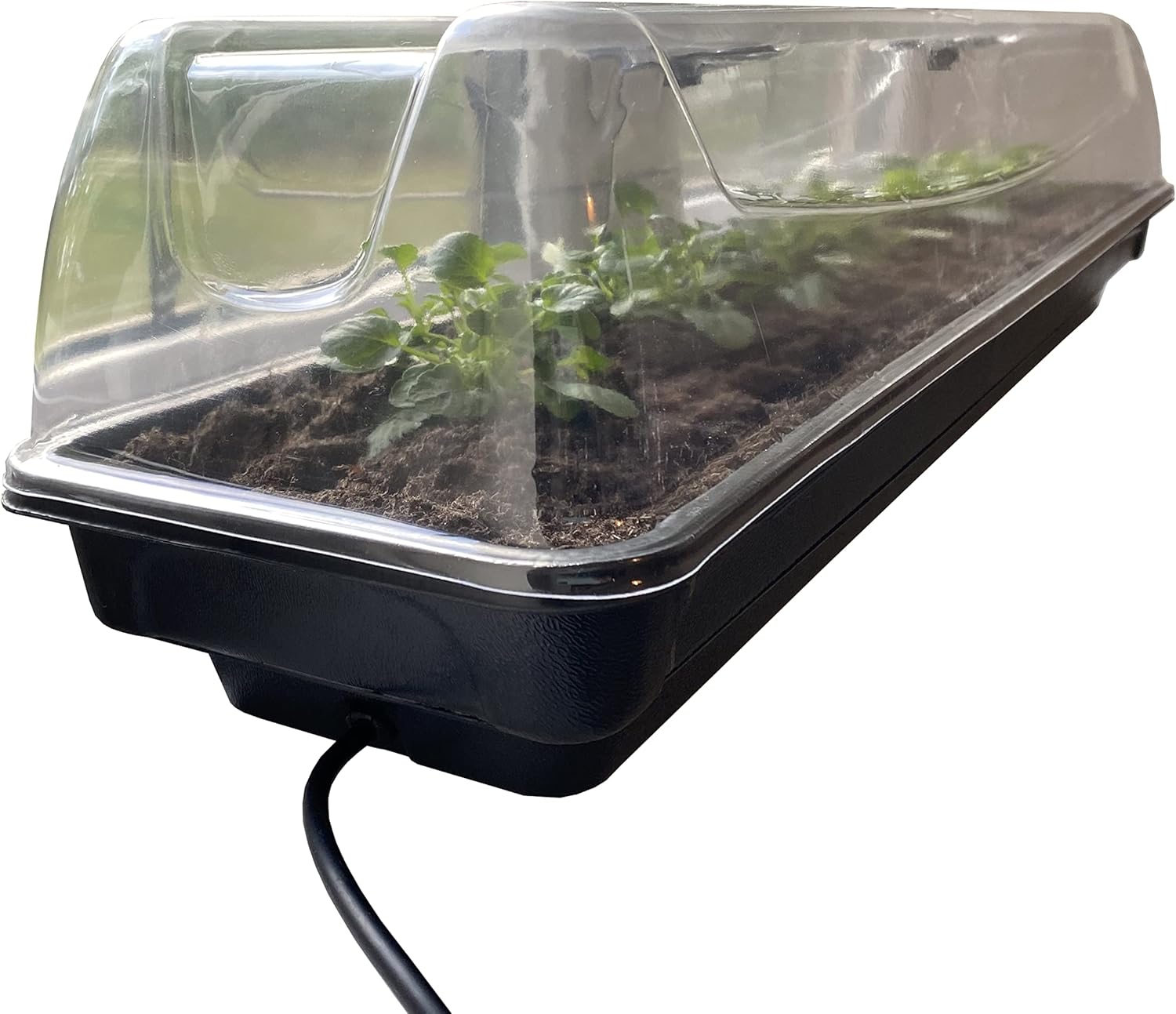 Selections Jumbo Windowsill Heated Plant Propagator (80cm) : Amazon.co ...