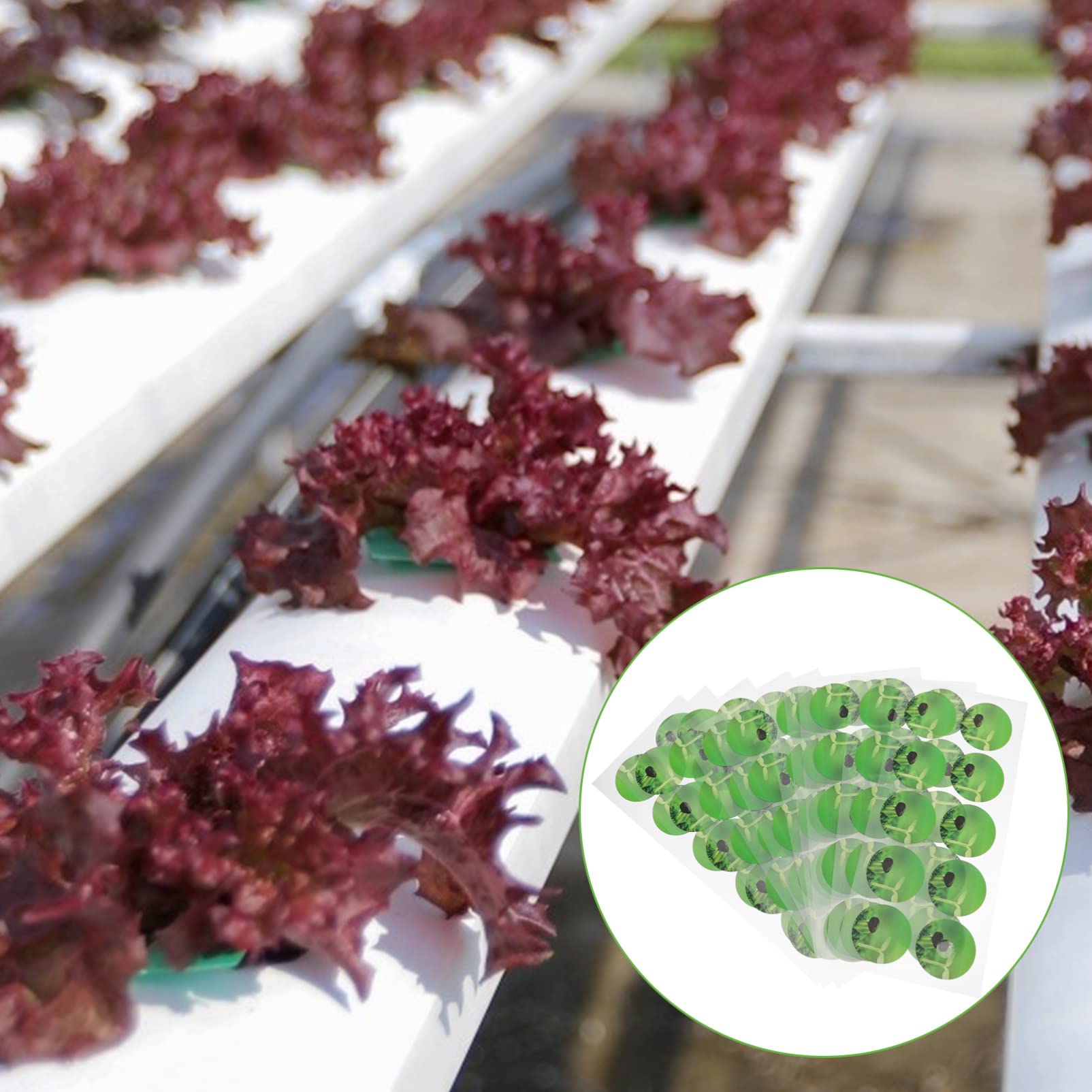 Yardwe 100pcs Label Pods Label Sticker Round Peel And Stick ...