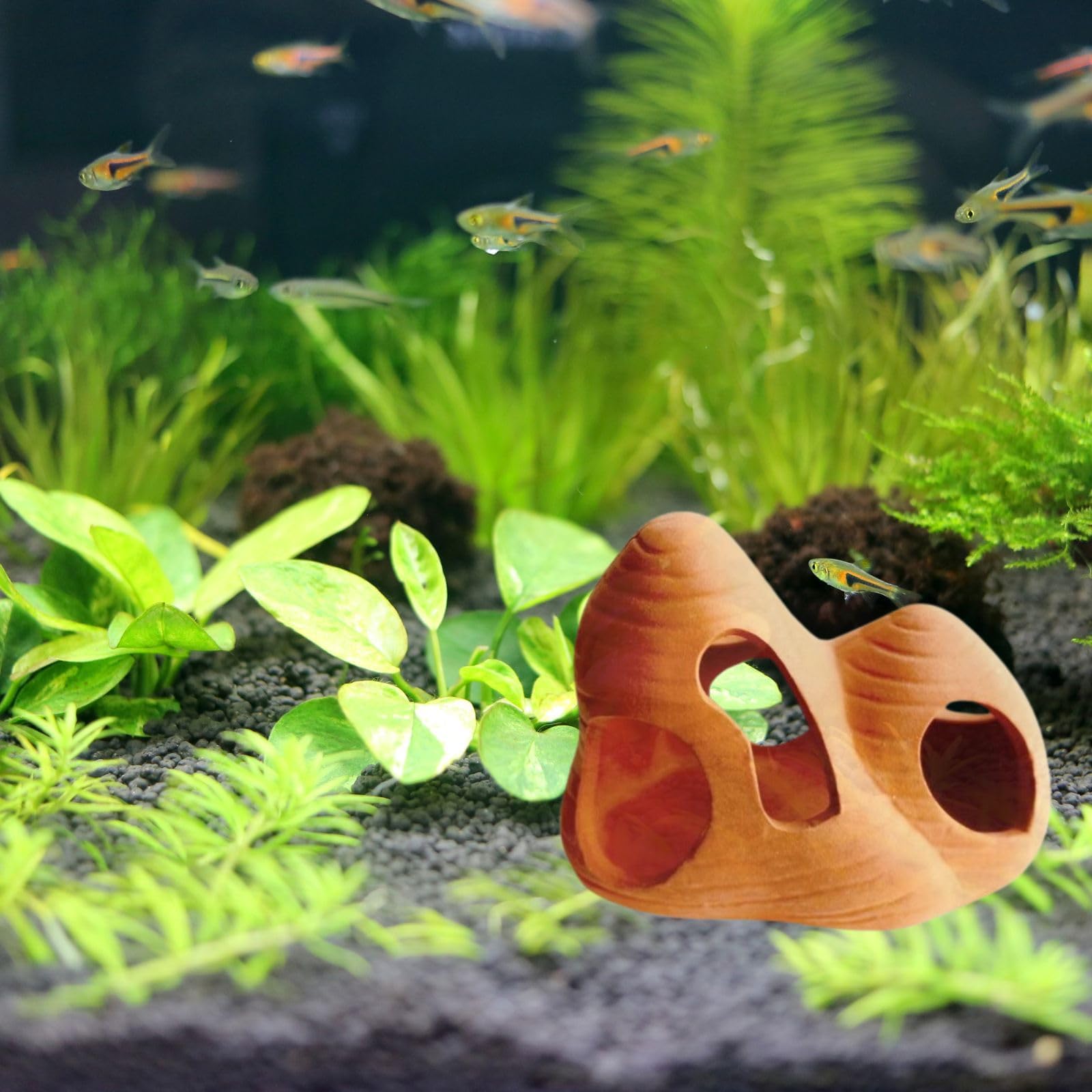 Snapklik.com : Saim Betta Fish Tank Accessories, Pleco Ceramic Caves ...