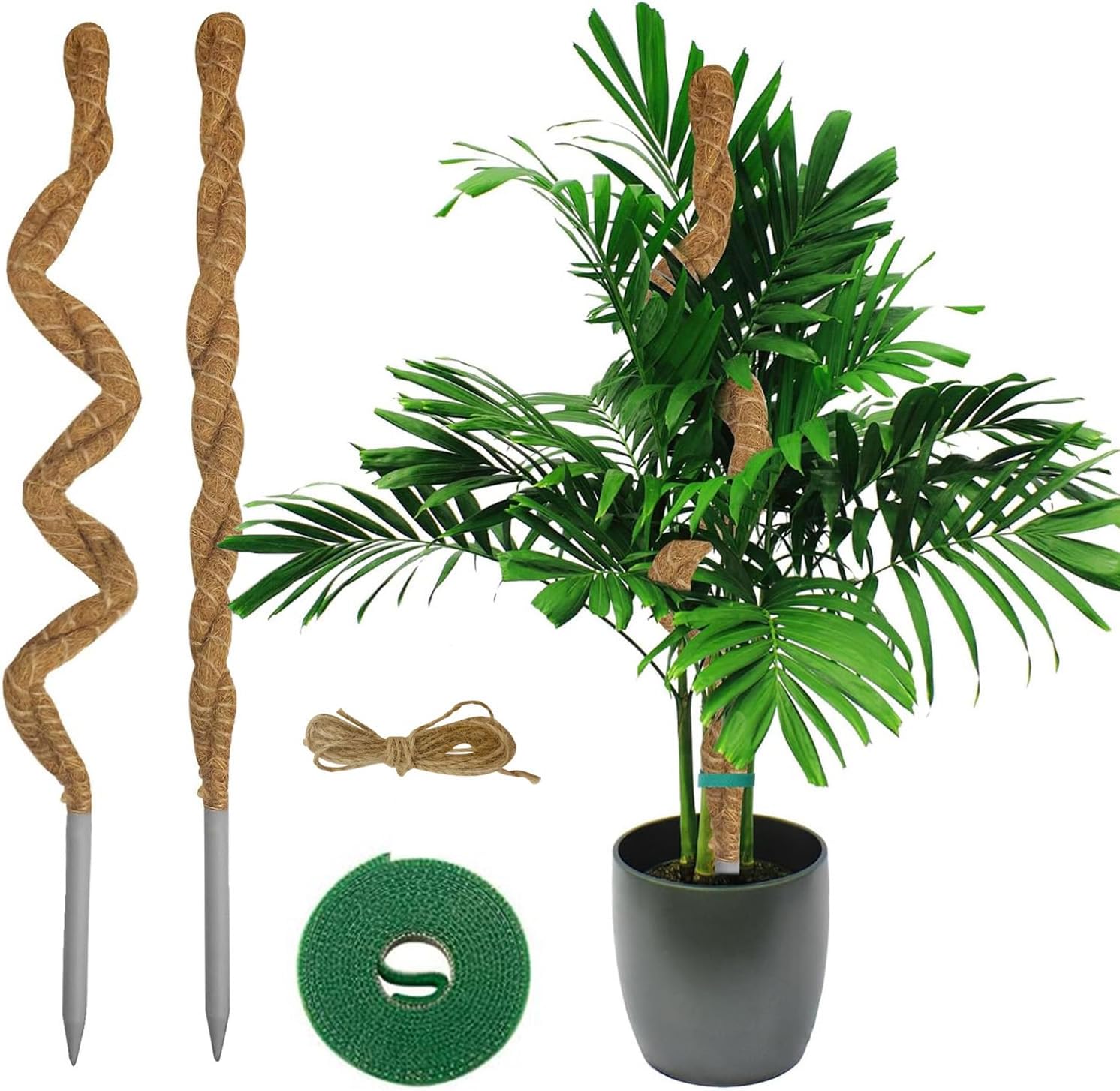 Amazon.com : 2 Pack 25 Inch Coco Coir Moss Poles for Climbing Indoor ...