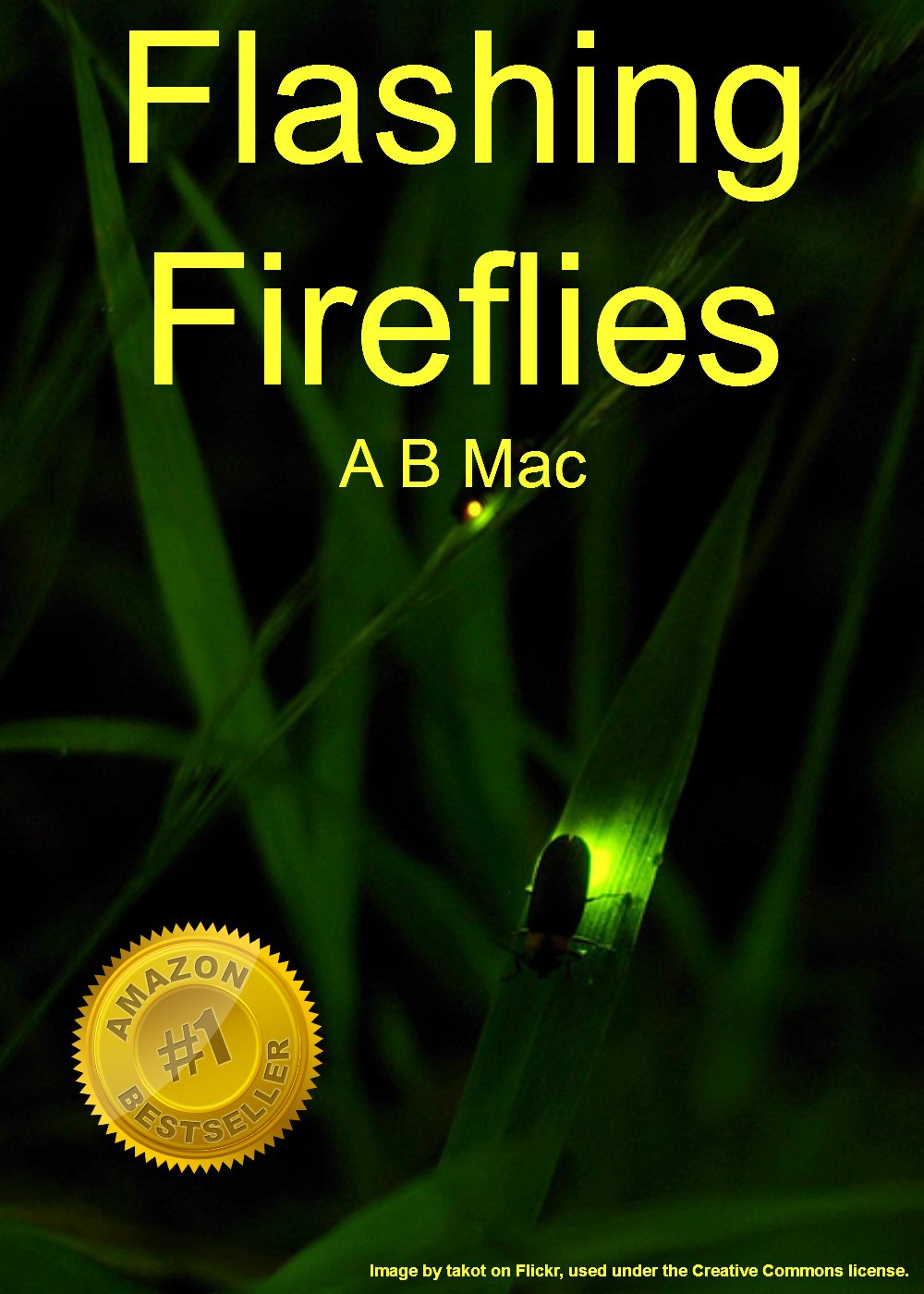 Flashing Fireflies (Amazing Facts About Insects Book 3) eBook : Mac, A ...