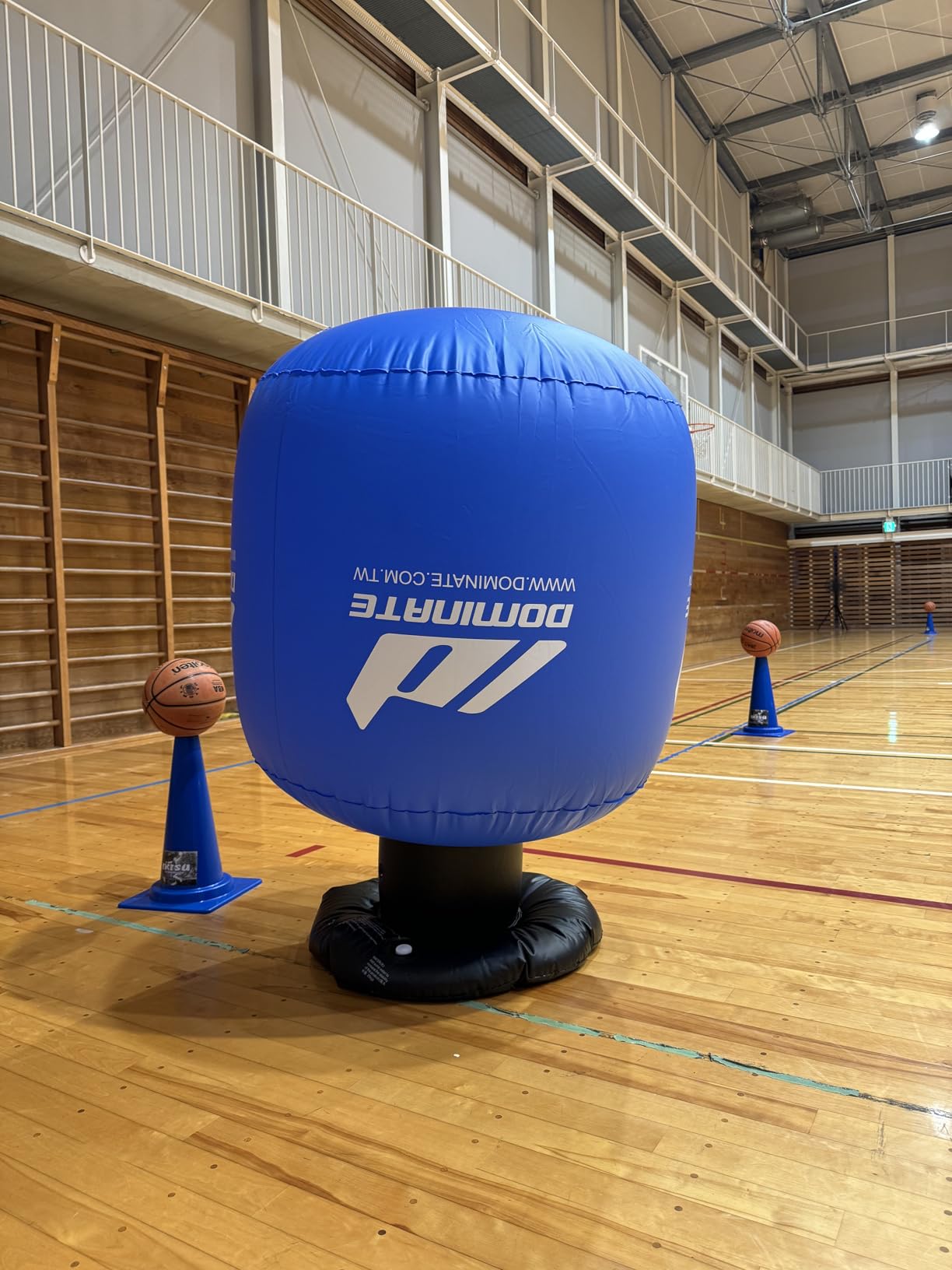 Amazon | 青 1個セット DOMINATE FAT DEFENDER ファット・ディフェンダー 正規品 日本国特許庁にて意匠登録済み ...