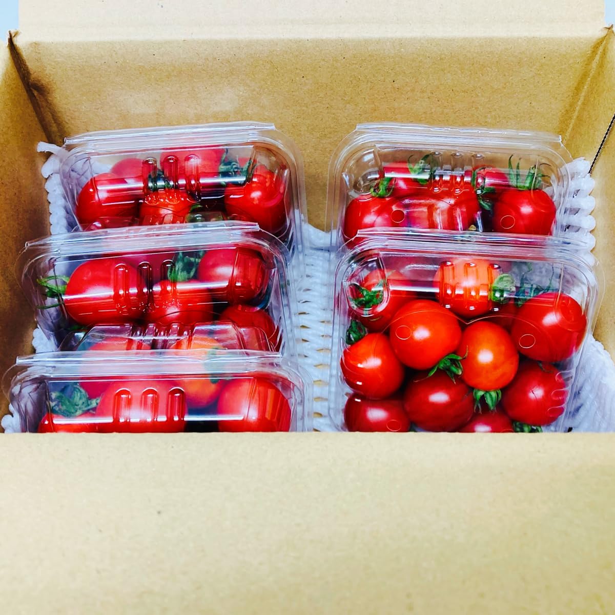 Amazon.co.jp: 九州 熊本産 ミニトマト 約1kg 5パック（200g×5）2S～2L 不揃い (002) 野菜 フルーツ 熊本 食品 旬 トマト : 食品・飲料・お酒