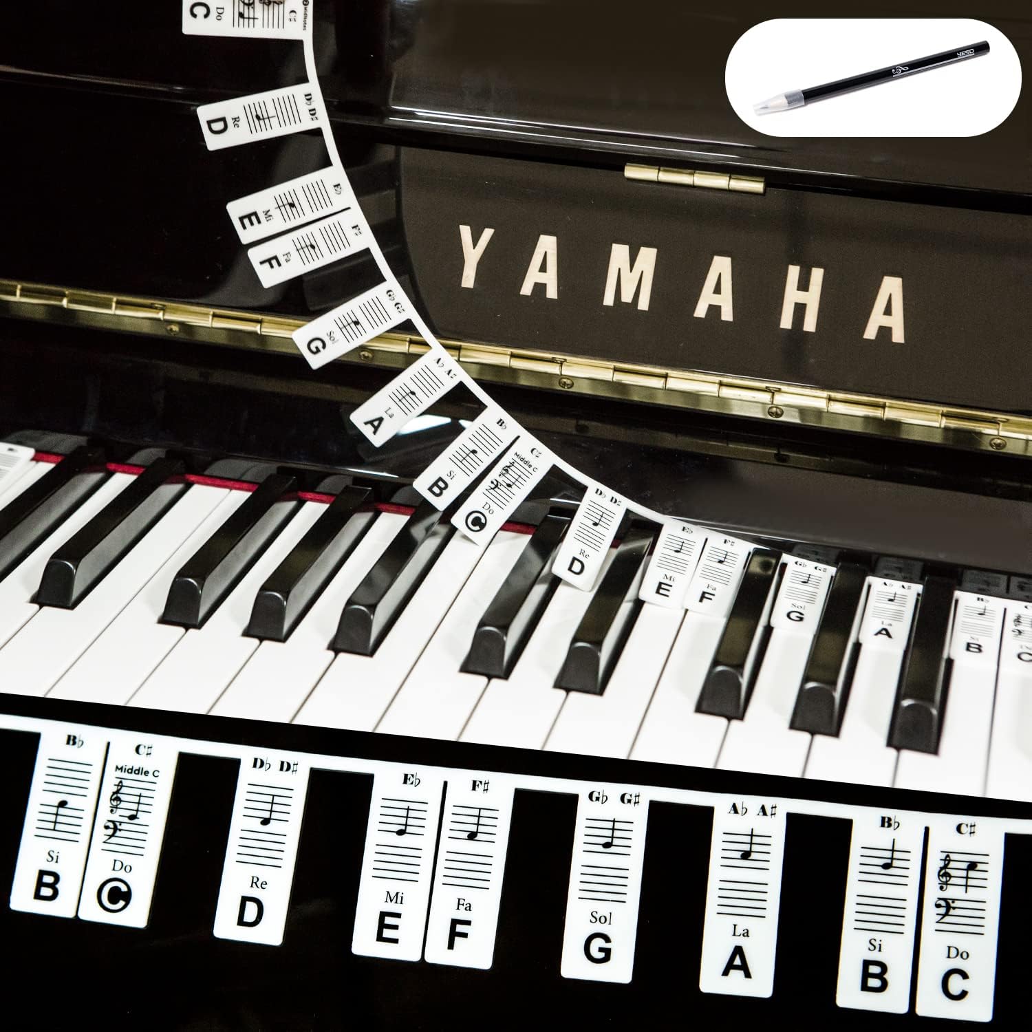 Amazon.com: Removable Piano Keyboard Notes Labels for Beginners,Piano ...