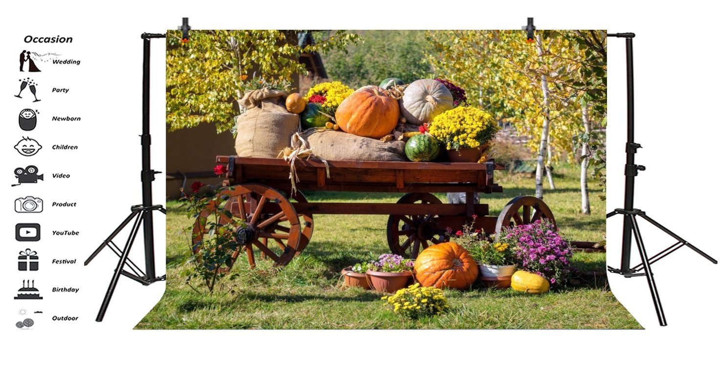 Fall Festival Backdrops