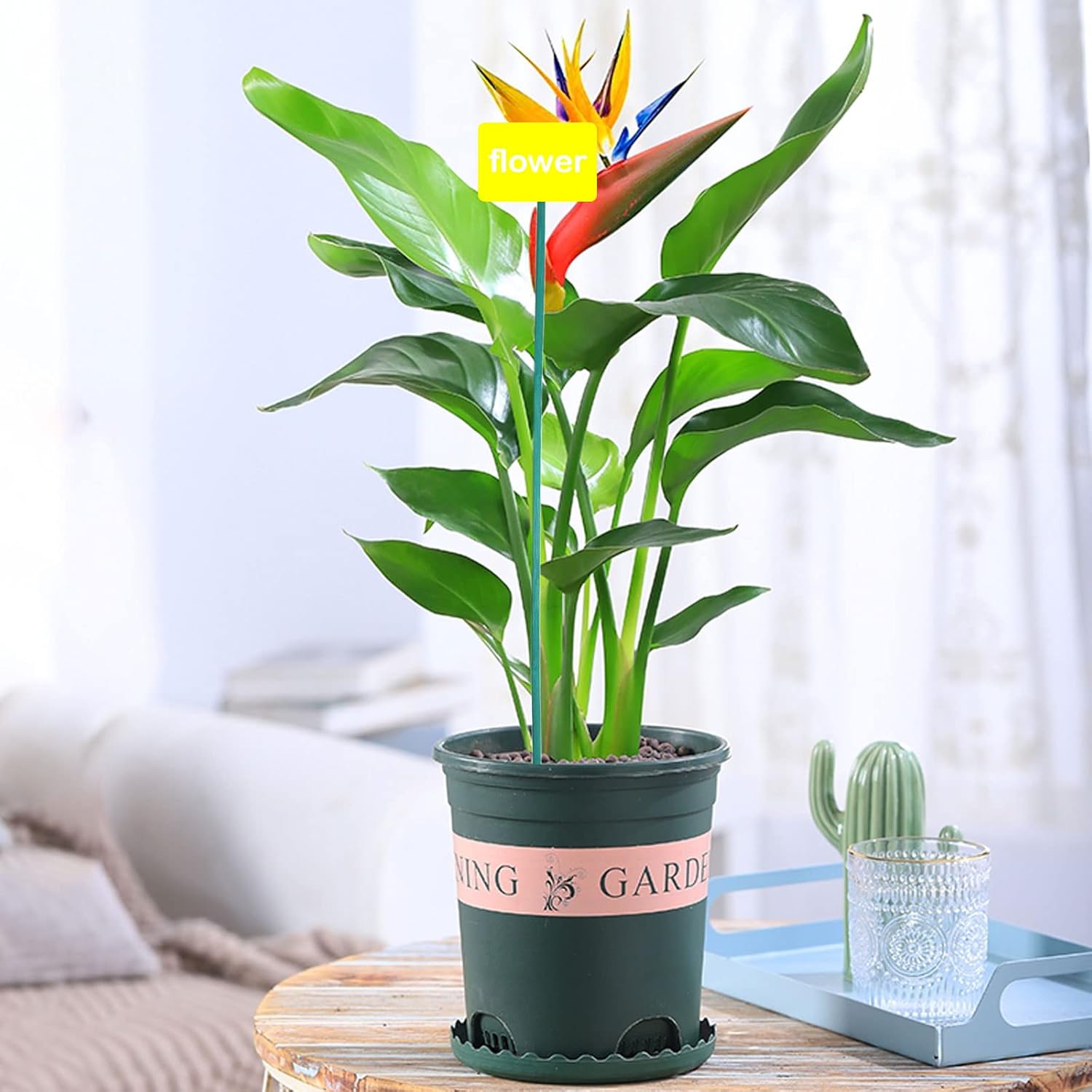 JYCAR 20 estacas de madera verde, varillas de jardín de 15 pulgadas ...