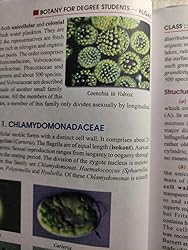 Botany for Degree Students: Algae eBook : Vashishta B.R./ Sinha A.K ...