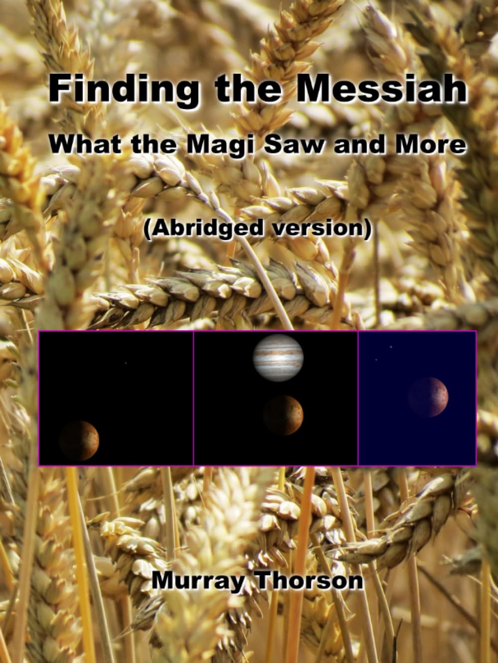 Finding the Messiah: What the Magi Saw and More: Thorson, Murray ...