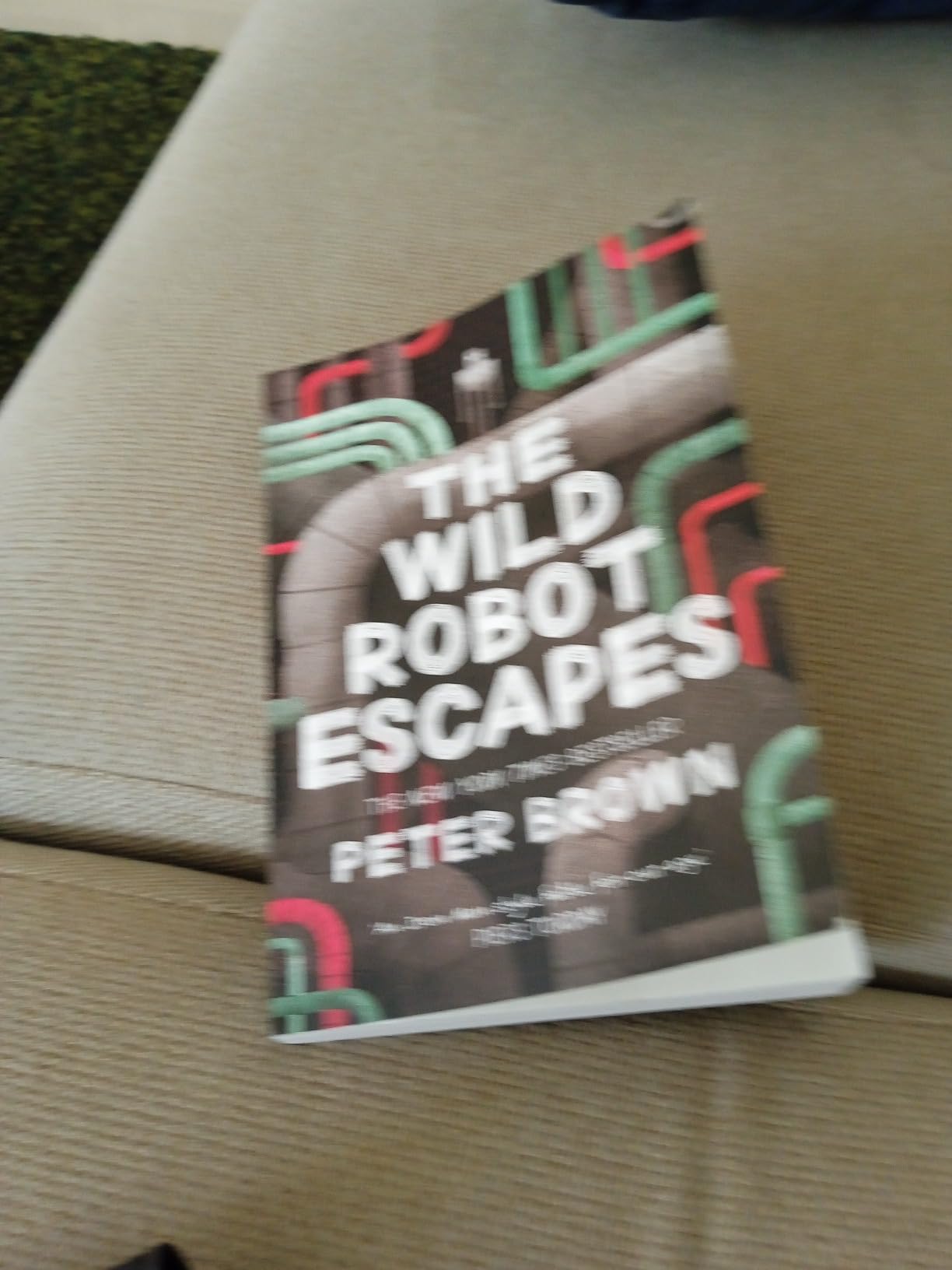 The Wild Robot Escapes : Brown, Peter: Amazon.in: Books