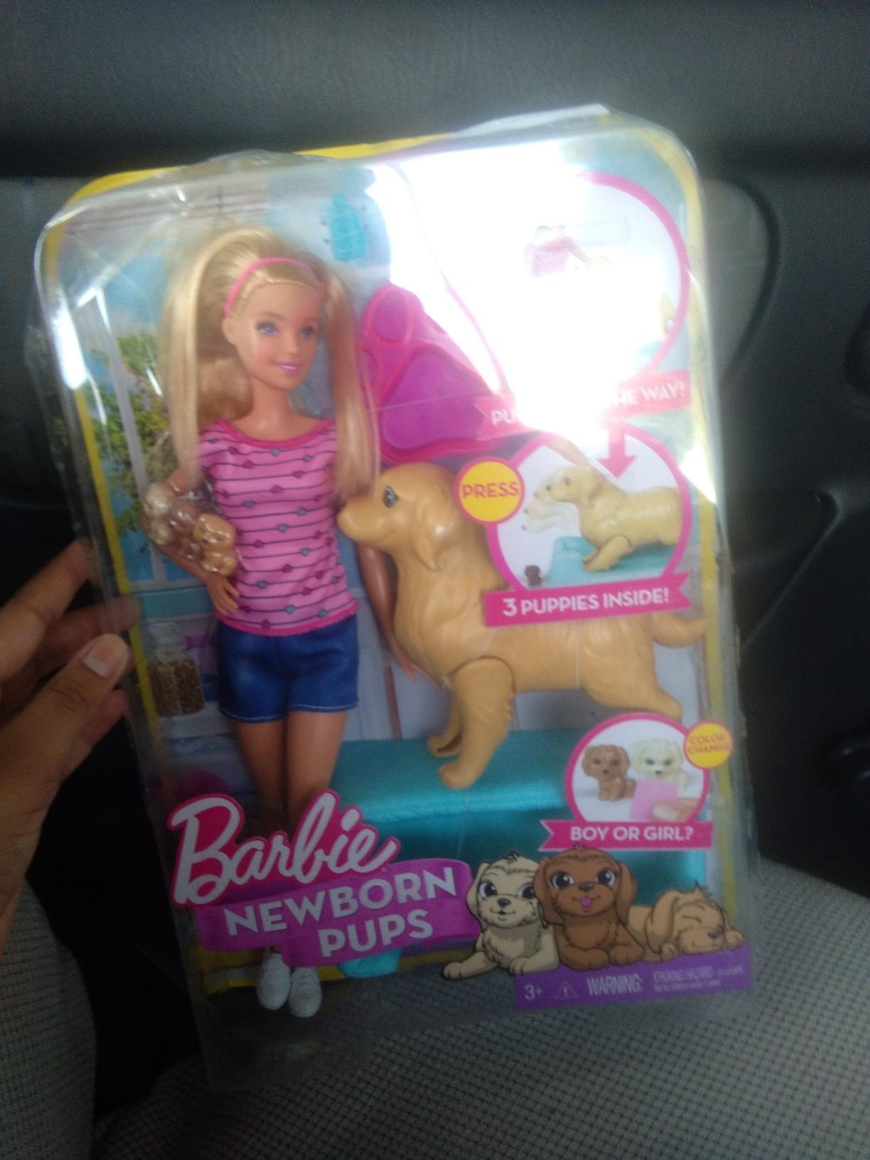 Barbie Barbie New-Born Pups Doll and Pets (Multicolor) : Amazon.in ...