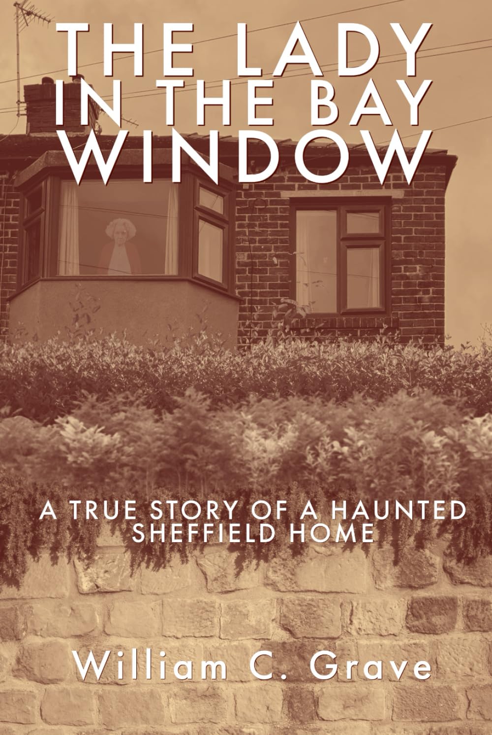 The Lady in the Bay Window: A true story of a haunted Sheffield home ...