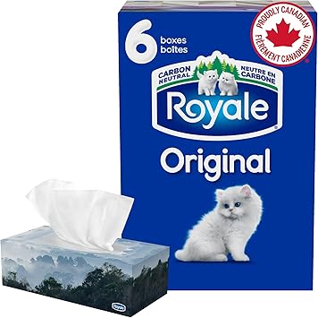 Royale Original 2 Ply Facial Tissue, 6 Tissue Boxes, 126 Tissues per ...