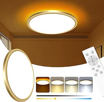 Zemty 12 Inch LED Ceiling Light With Night Light 1800K, 3000K/4000K ...