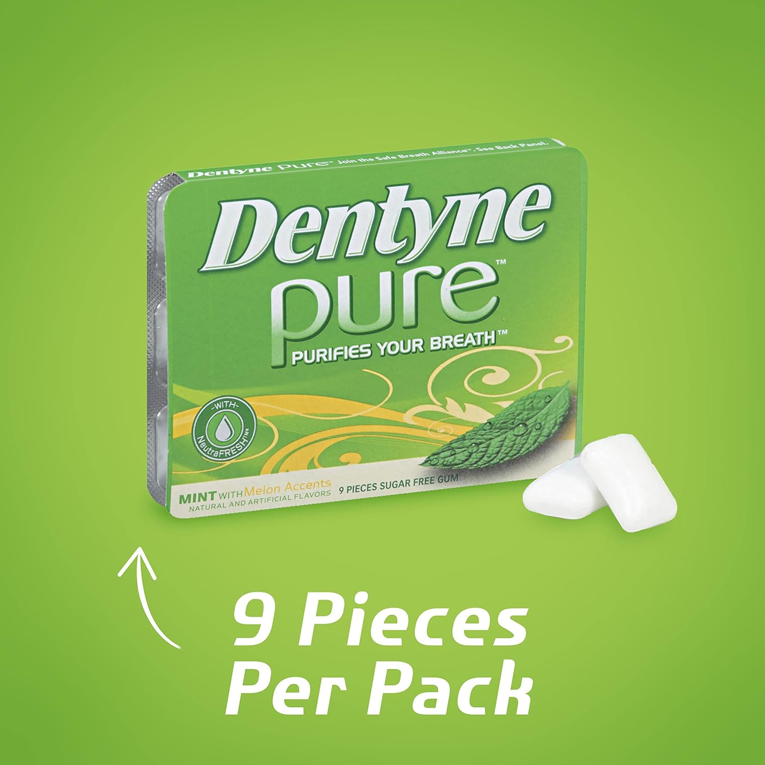 Buy Dentyne Pure Mint with Melon Accents Sugar Free Gum, 60 Packs of 9 ...