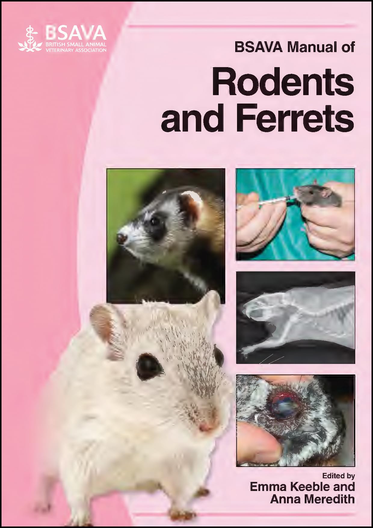 BSAVA Manual of Rodents and Ferrets: 9781905319084: Medicine & Health ...