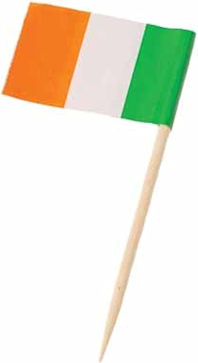 Amazon.com: Lot Of 144 Irish Flag Theme Food Toothpicks : Health ...