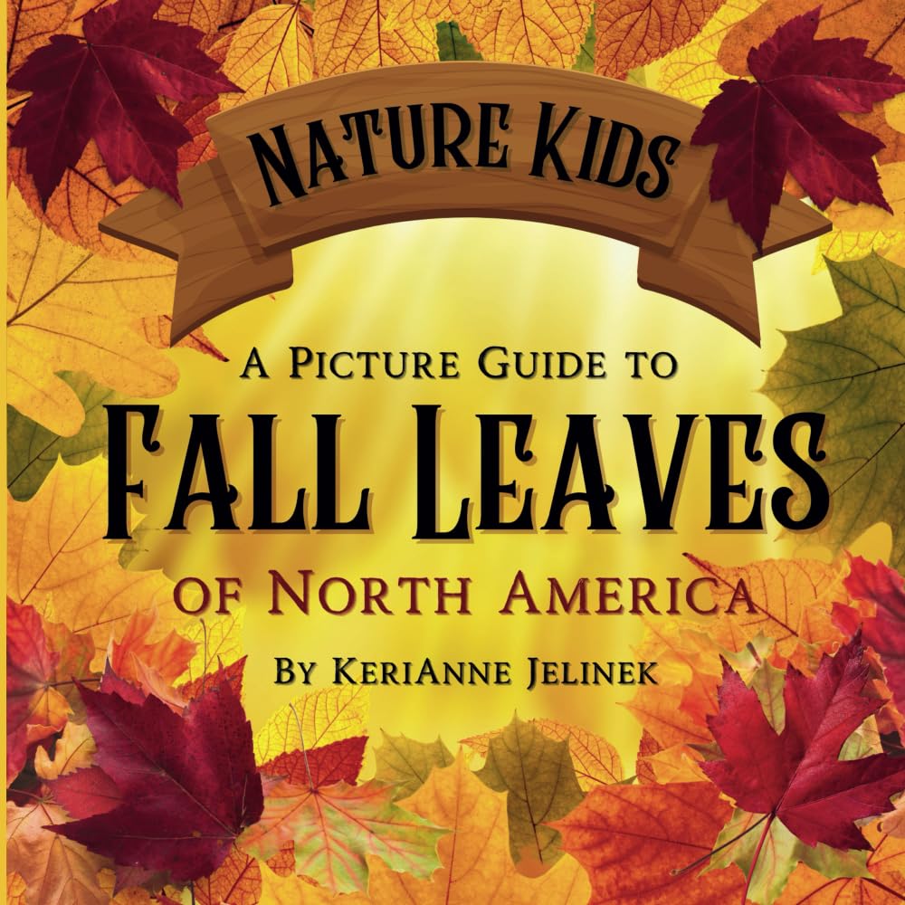 A Picture Guide to Fall Leaves of North America - Fall Leaves of North ...