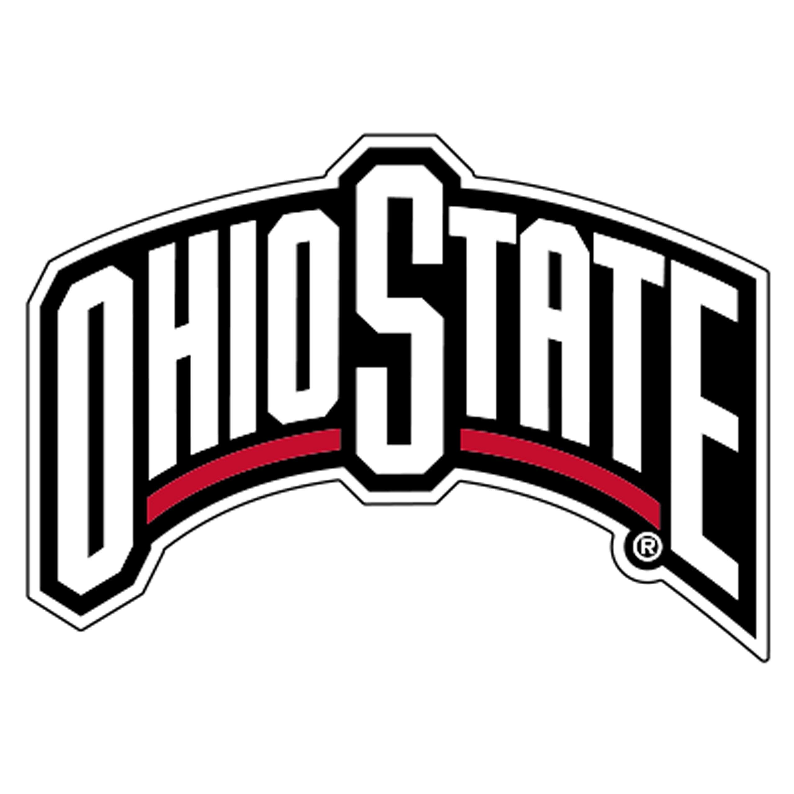 Amazon.com: Craftique Ohio State University Decals (Black/Red(OhioST ...