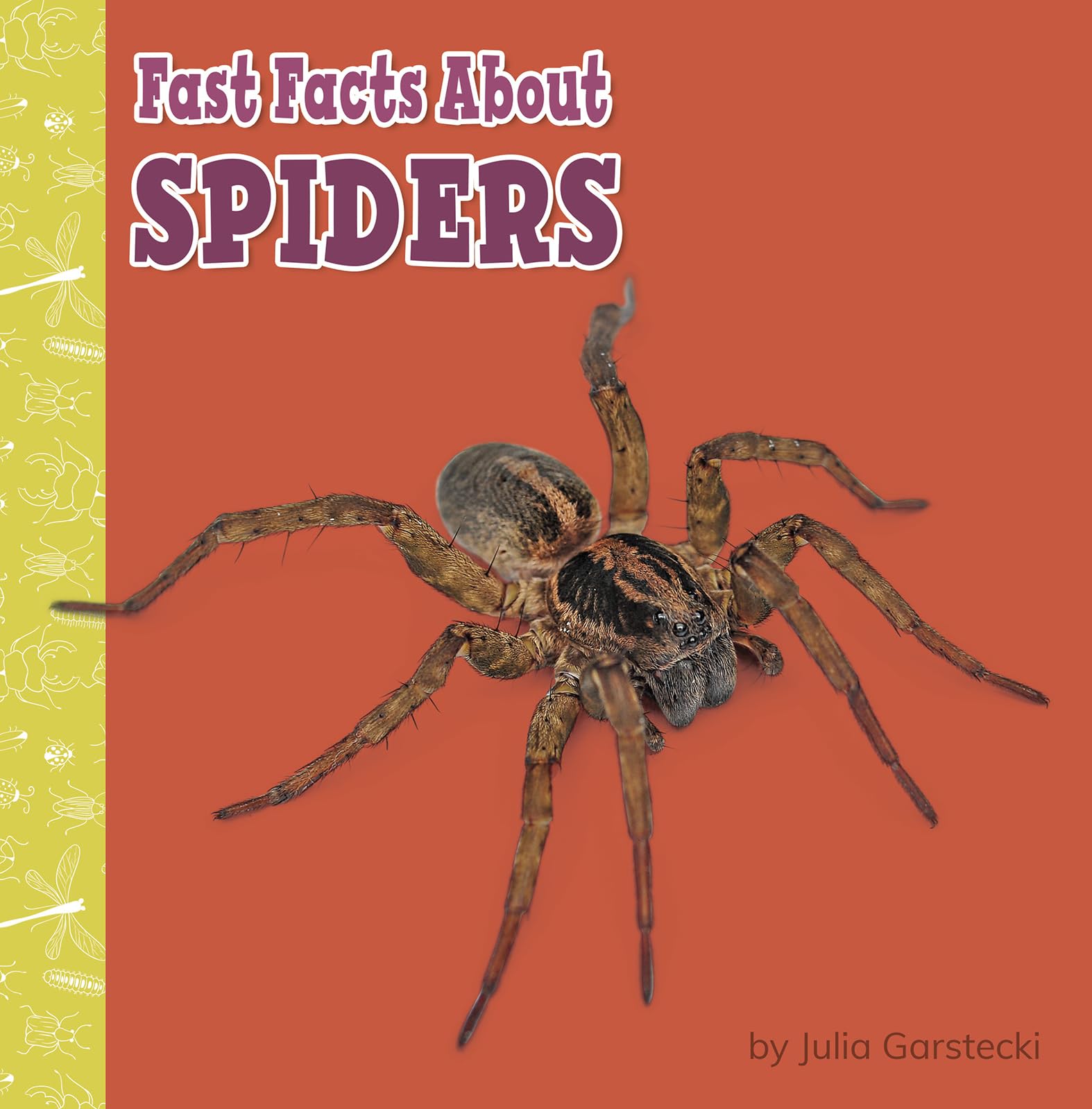 Fast Facts About Spiders (Pebble Emerge): Garstecki-derkovitz, Julia ...