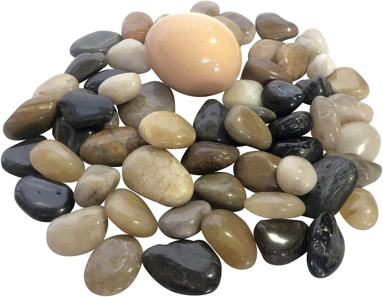 Amazon.com : Decorative Polished Pebbles for Plants, Natural Decorative ...