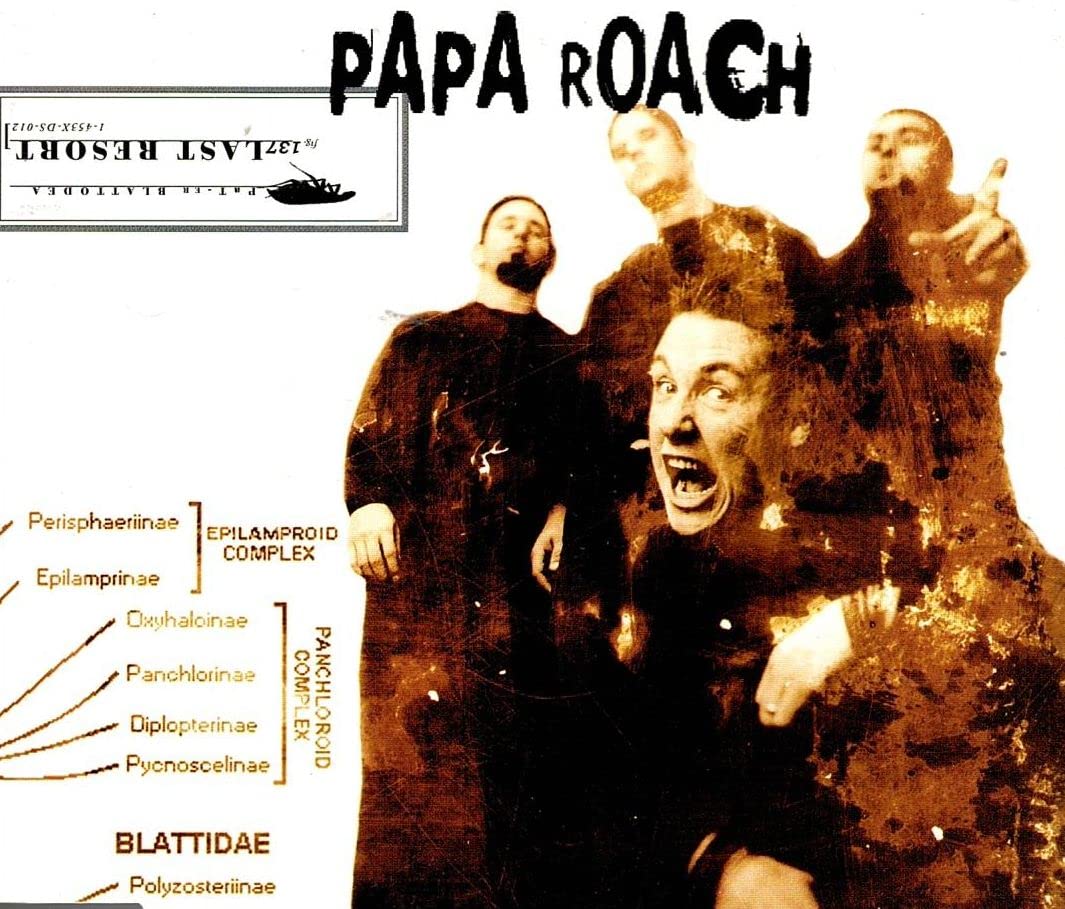 Amazon.com: Last Resort: CDs & Vinyl