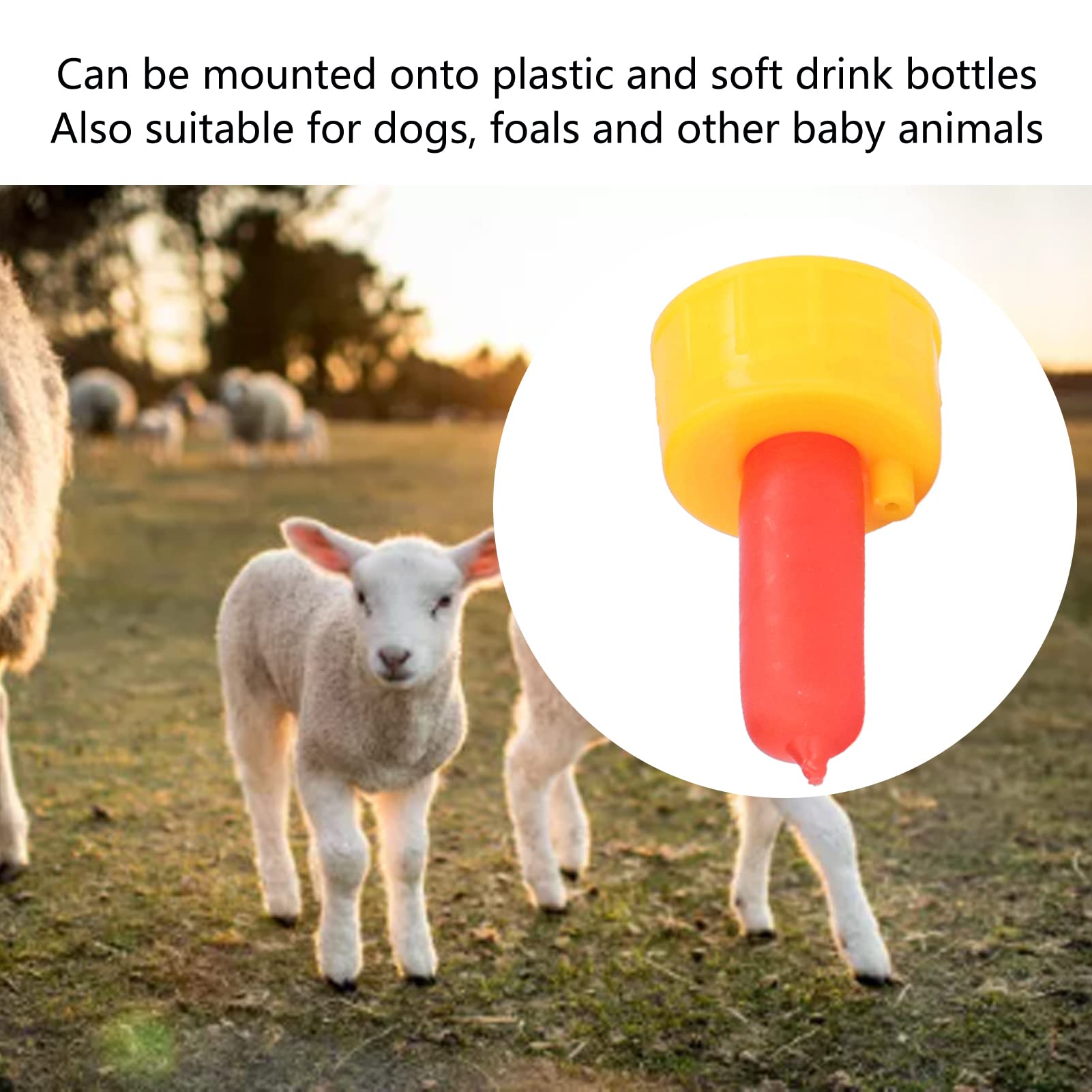 Snapklik.com : Goat Nipple Set,10Pcs Lamb Milk Drink Nipple,Small ...