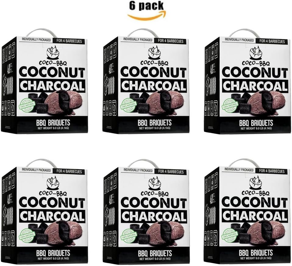 Amazon.com : COCO-BBQ Eco-Friendly Barbecue (SET OF 6) Charcoal Made ...