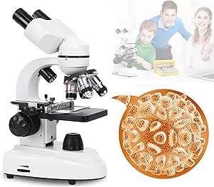Amazon.com: Binocular Compound Microscope, 12000X - 30000X HD ...