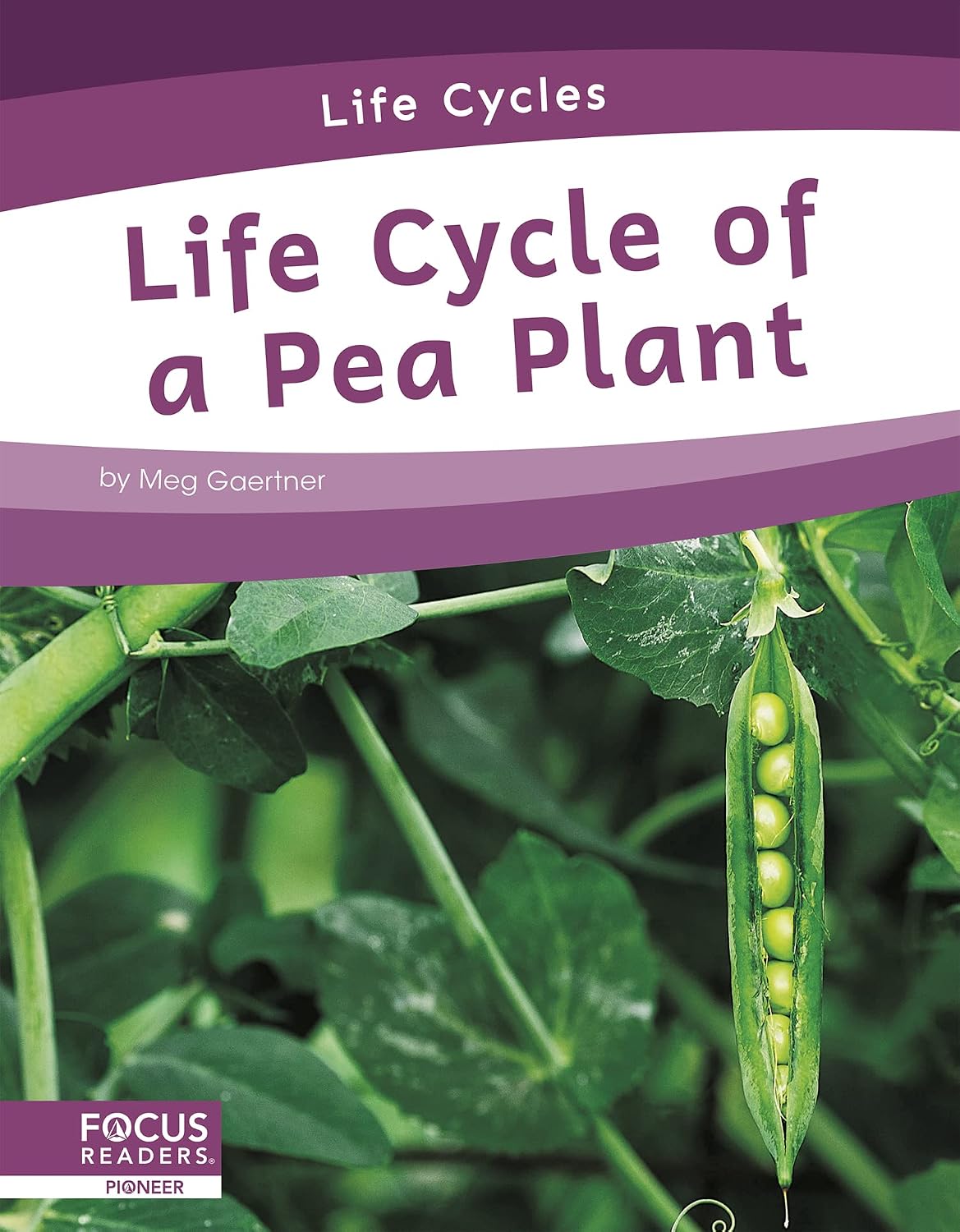 Life Cycle of a Pea Plant (Life Cycles (Set of 8)) - Kindle edition by ...