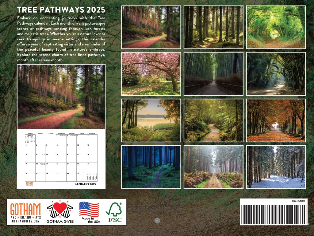Snapklik.com : Tree Pathways Nature Calendar 2025 Scenic Trees Monthly ...
