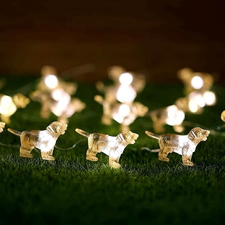 Amazon.com: Impress Life Pet Themed Dachshund Decorative String Lights ...