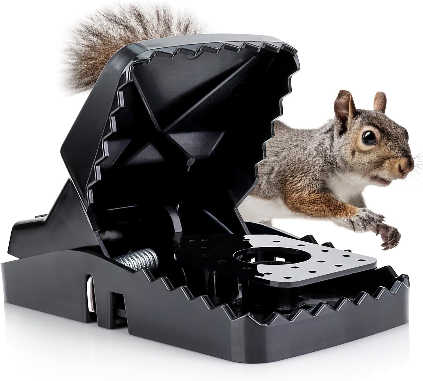 Amazon.com : Squirrel Trap (2 Pack) - Consistent & Humane Kill Every ...