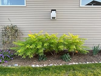 Amazon.com : Camden 80"W x 90"H Vinyl Privacy Screen : Patio, Lawn & Garden