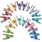 Amazon.com: 40 Pack Stainless Steel Small Clothes Pins Durable Clothes ...