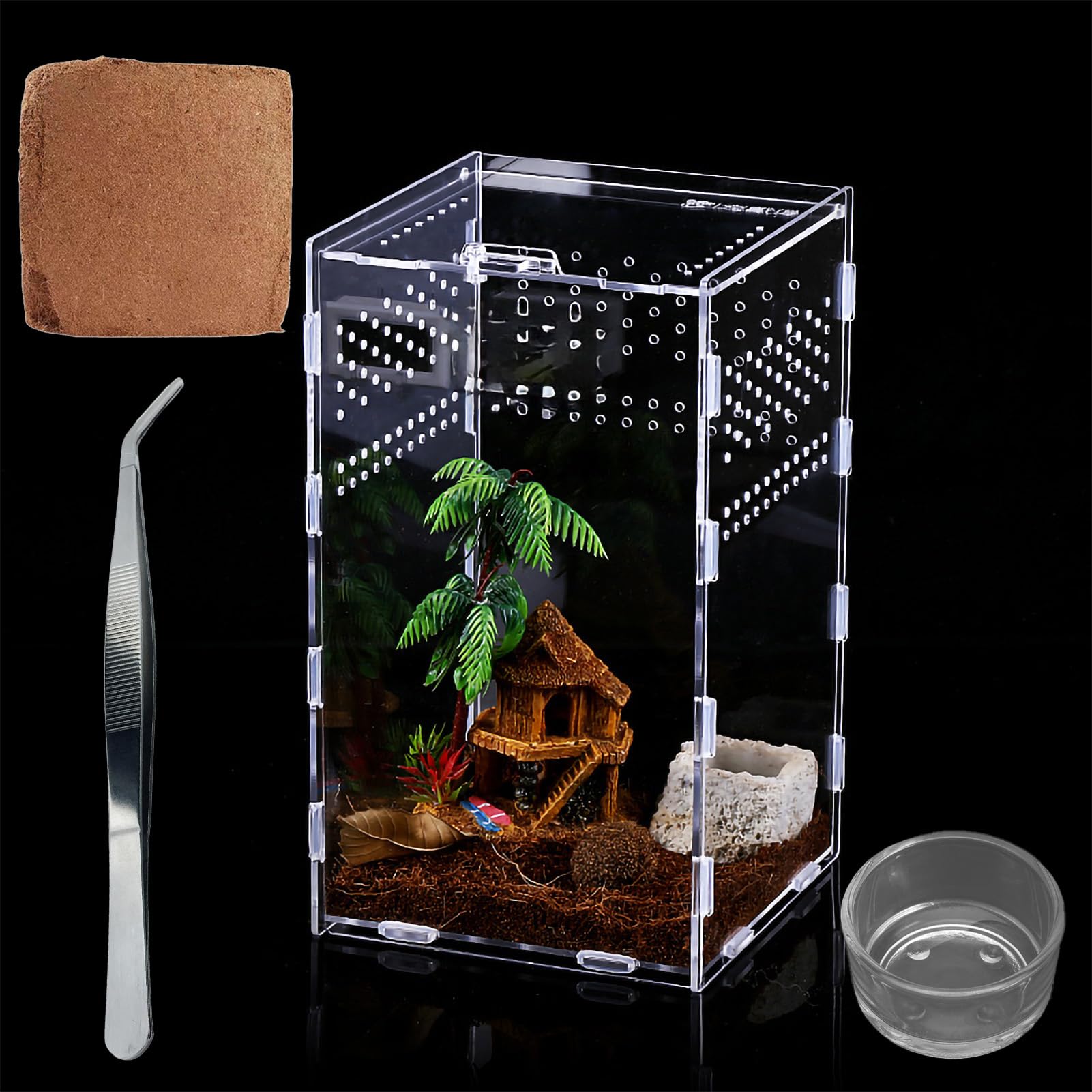 Snapklik.com : TREELF Micro Habitat Terrarium Kit