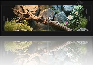 The Ultimate Guide To Creating A Bio Active Ball Python Enclosure | PetShun
